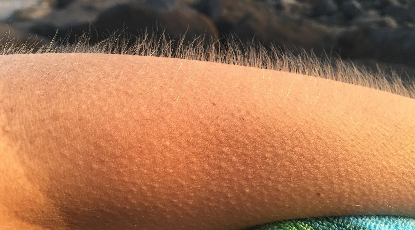 B Skin Legacy | Institut de soins esthétiques